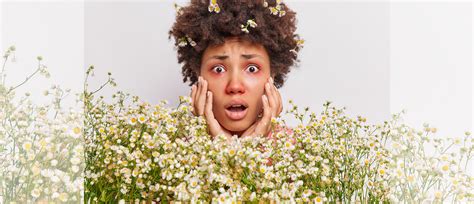 6 Steps To Survive Allergy Season This Spring Get It Magazine