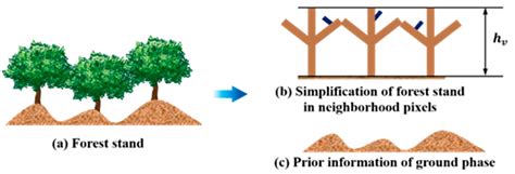 a fourier legendre polynomial forest height inversion model based on a