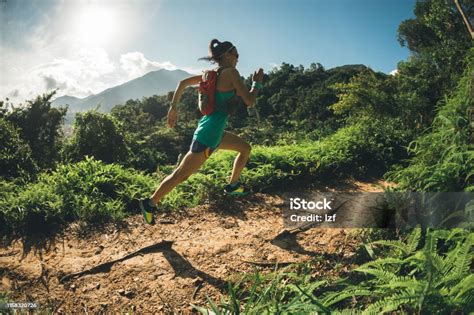 여름 숲에서 달리는 젊은 피트니스 여자 울트라 마라톤 트레일 러너 크로스 컨트리 러닝에 대한 스톡 사진 및 기타 이미지