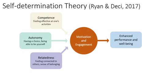 Self Determination Theory