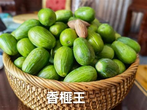 通山让九宫香榧香得更远 长江云 湖北网络广播电视台官方网站