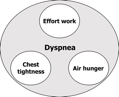 Dyspnea Pulmonary Physiology For Pre Clinical Babes