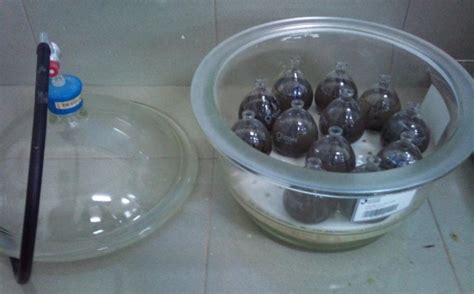 7 Small Pyknometer Apparatus For Specific Gravity Testing Download Scientific Diagram