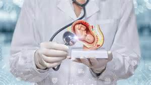 Mesoderm Pengertian And Organ Tubuh Yang Terbentuk Dari Lapisan Mesoderm