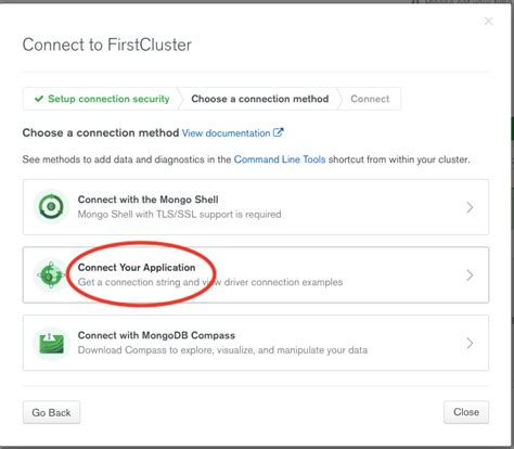 creating a mongodb cluster and inserting a document with python by