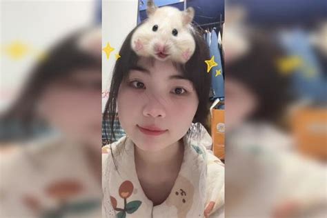 兔do大挑战 兔年同乐乐 good night