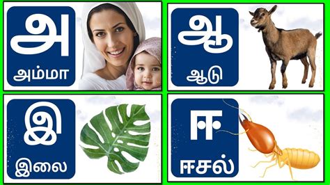 Amma Aadu Ilai Uyir Eluthukal Tamil Alphabets Prinit1419 Youtube