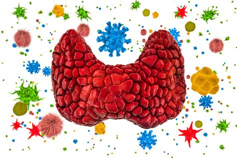 바이러스와 박테리아가 있는 갑 상선 갑 상선 질환 개념 흰색 배경에 고립 된 3d 렌더링 내분비계에 대한 스톡 사진 및 기타 이미지 Istock