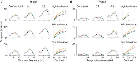 Illustrates The Temporal Frequency Tuning Of Two Cells One M And One