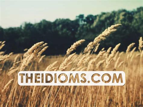 Brand Spanking New Meaning Origin Example Sentence History