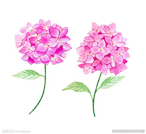卡通绣球花设计图 广告设计 广告设计 设计图库 昵图网