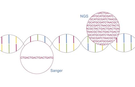 Ngs Vs Sanger Sequencing
