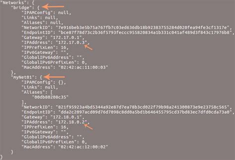 Docker Network Type Plegaswx