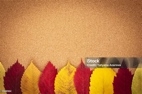 갈색 나무 배경에 복사 공간이있는 가을 프레임 빨간색과 노란색 낙엽의 아플리케 단풍의 구성 골판지 벽입니다 맨 위 보기 플랫