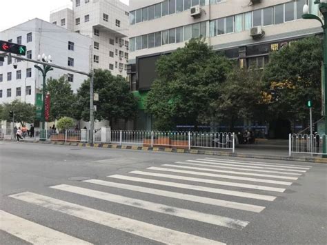 武都城区灯控路口人行道红绿灯进入试运行阶段 搜狐大视野 搜狐新闻