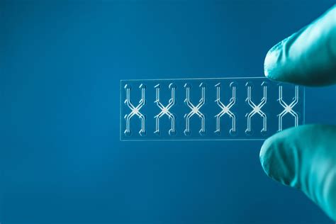 Microfluidic Chips And Devices Manufacturing Wop Workshop Of Photonics