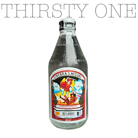 1 Case Gin Round Bilog 350ml 24 Bottles Lazada Ph