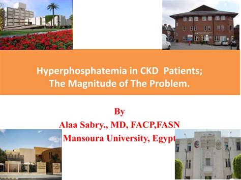 Hyperphosphatemia In Ckd Patients The Magnitude Of The Problem Prof Alaa Sabry Ppt