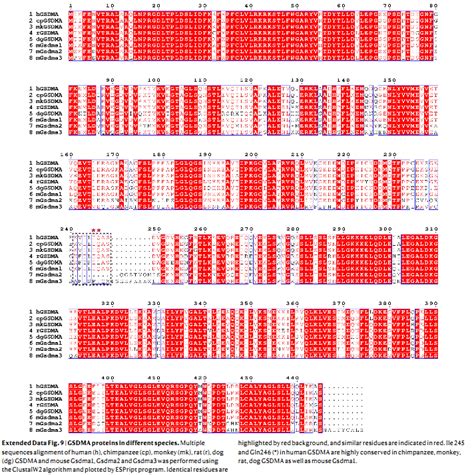 Protein Amino Acid Sequence Analysis Service Mtoz Biolabs