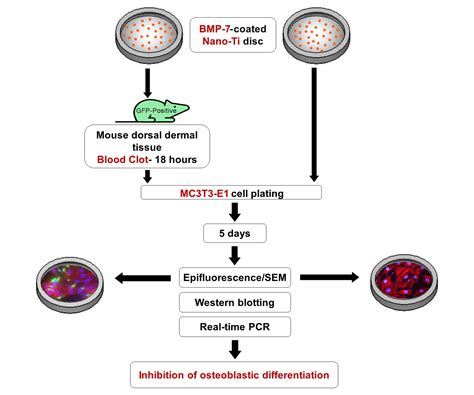 Electrochemical Clot Detection At Alfred Willeford Blog