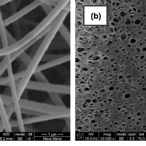 Pdf Fabrication Of Electrospun Nanofibrous Membranes For Membrane Distillation
