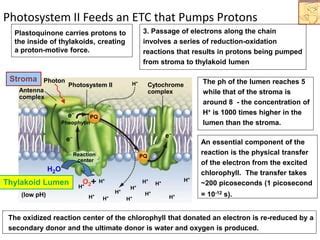 Lecture5ppt