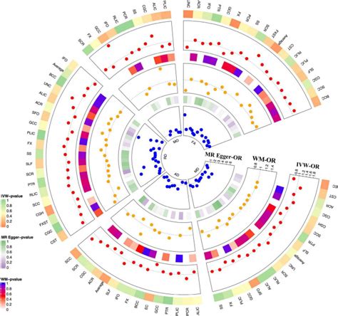 Implicating Causal Brain Magnetic Resonance Imaging In Glaucoma Using Mendelian Randomization Pmc