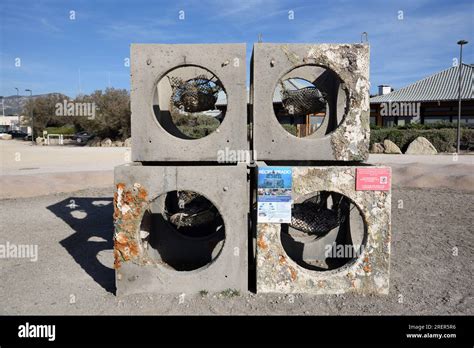 Concrete Blocks Used For Creating Artificial Coral Reef On Prado Beach In Marseille France Stock