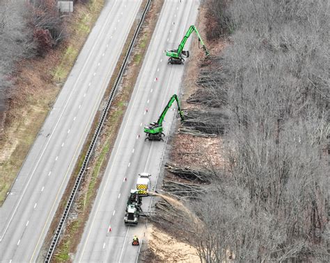 roadside tree removal distinctive tree care