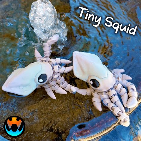 Tiny Squid 3d Model By Cinderwing3d On Thangs