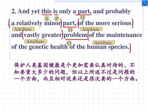 Ppt Translation Of Attributive Clause Powerpoint Presentation Free Download Id 5838948