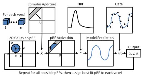 Population Receptive Field Modeling The Parameter Estimation Procedure