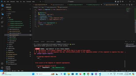 Angular Server Errors With 100daysofcodingchallenge Neha Singh
