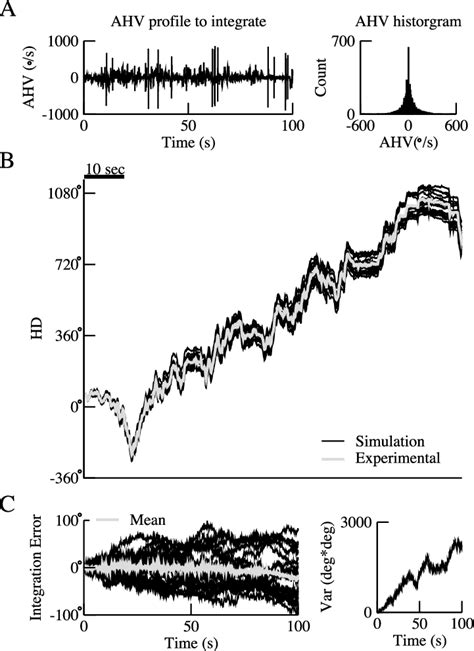 Integration Of The Angular Head Velocity Profile Recorded From A Freely