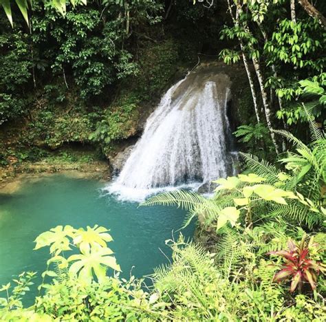 Island Gully Falls St Ann Wedding Honeymoons Waterfall