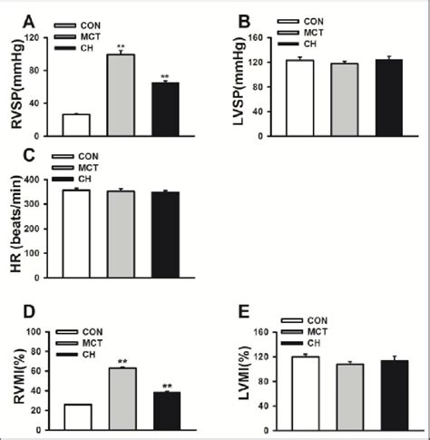 The Identification Of Pulmonary Hypertension Rats Models A B Right