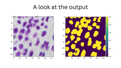 GitHub AvyaRathod Project NS Spotting Nuclei Speeding Cures