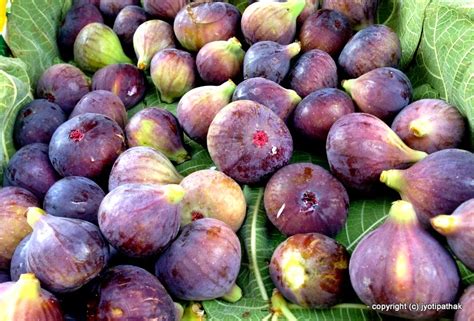 Taste Of Nepal Glossary Of Common Fruits Of Nepal English Nepali
