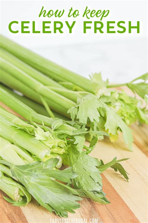 How To Keep Celery Fresh For Up To 3 Weeks Longer Fabulessly Frugal