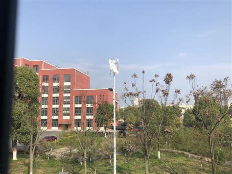 Vertical And Horizontal Axis Wind Turbines