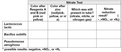 Solved Nitrate Test Color After Color After Reagents A Zinc Which Was