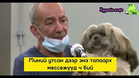 Гэрийн тэжээвэр амьтнаа хайрлацгаая😻 Youtube