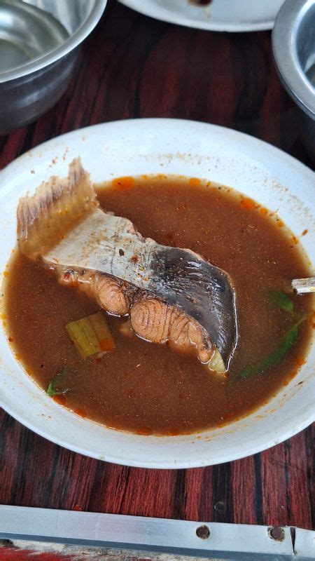 Ikan Patin Wikipangan