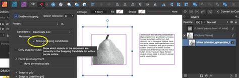 Picture Frames Border Remains Visible Desktop Questions Macos And Windows Affinity Forum