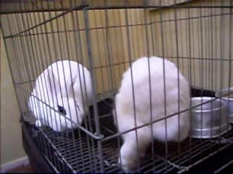 Perdendo A Virgindade Youtube