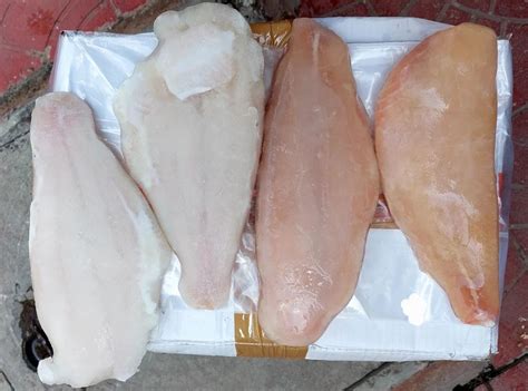 Basa Fish Fillet 30 At Rs 200kg In Chennai Id 2851520026733