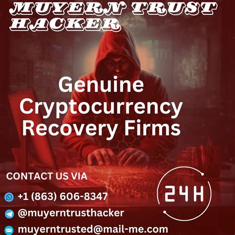 How To Recover Crypto Sent To Wrong Address Or Stolen By Lucy Sienna