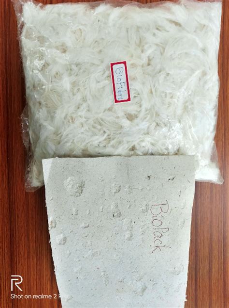 Eco Friendly Styrofoam Alternative Esrag Environmental Sustainability Rotary Action Group