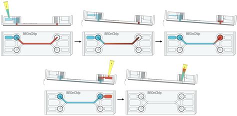 Cell Fixation Staining And Immunostaining In A Chip