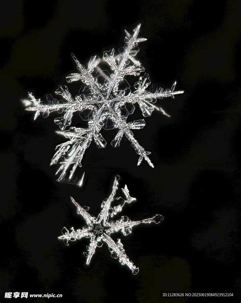 精致雪花晶体特写摄影图 自然风景 自然景观 摄影图库 昵图网